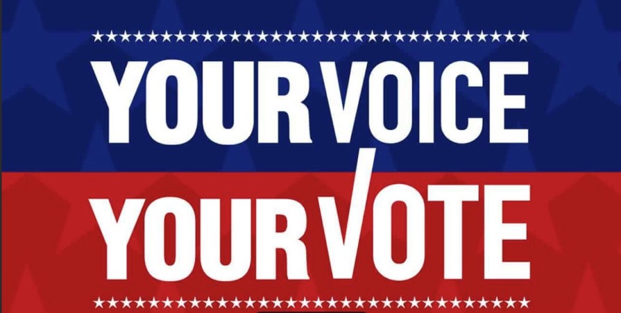 Your Voice, Your Vote - ILTRA